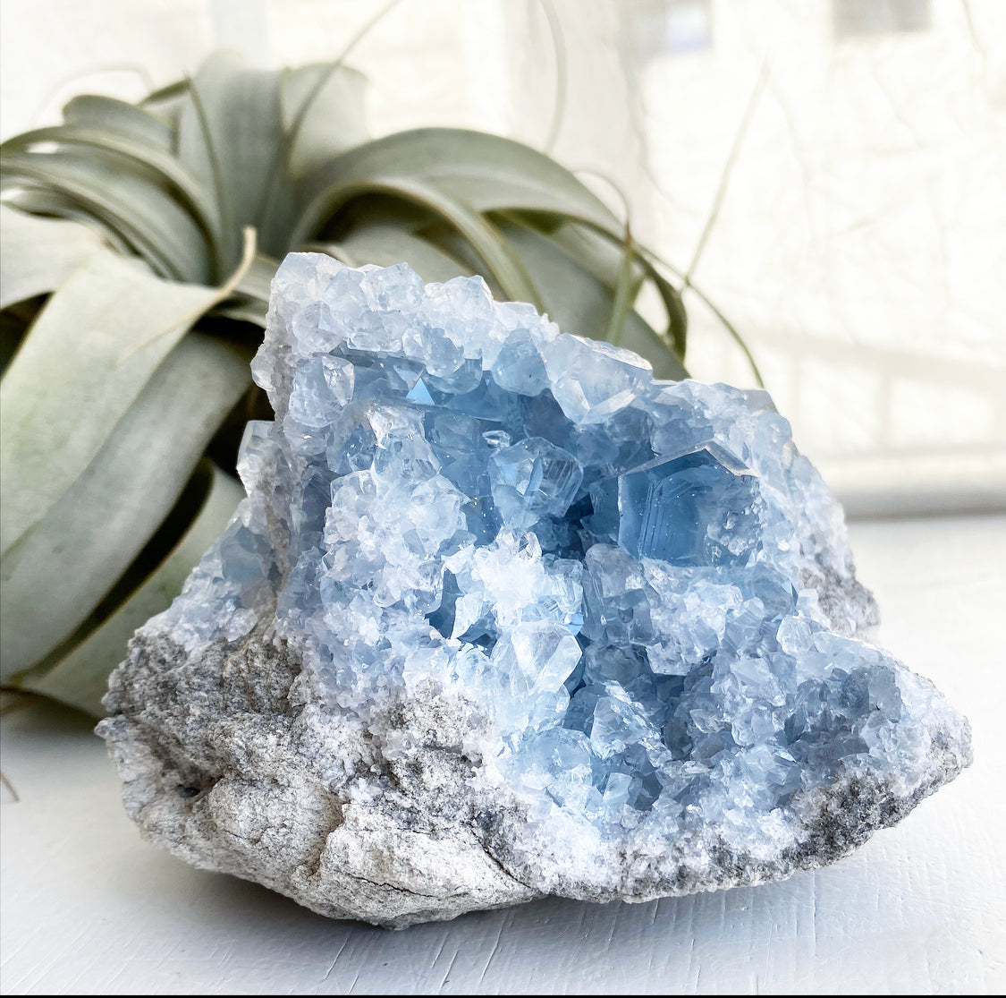 Life Changing Crystals – MeadowsCrystals