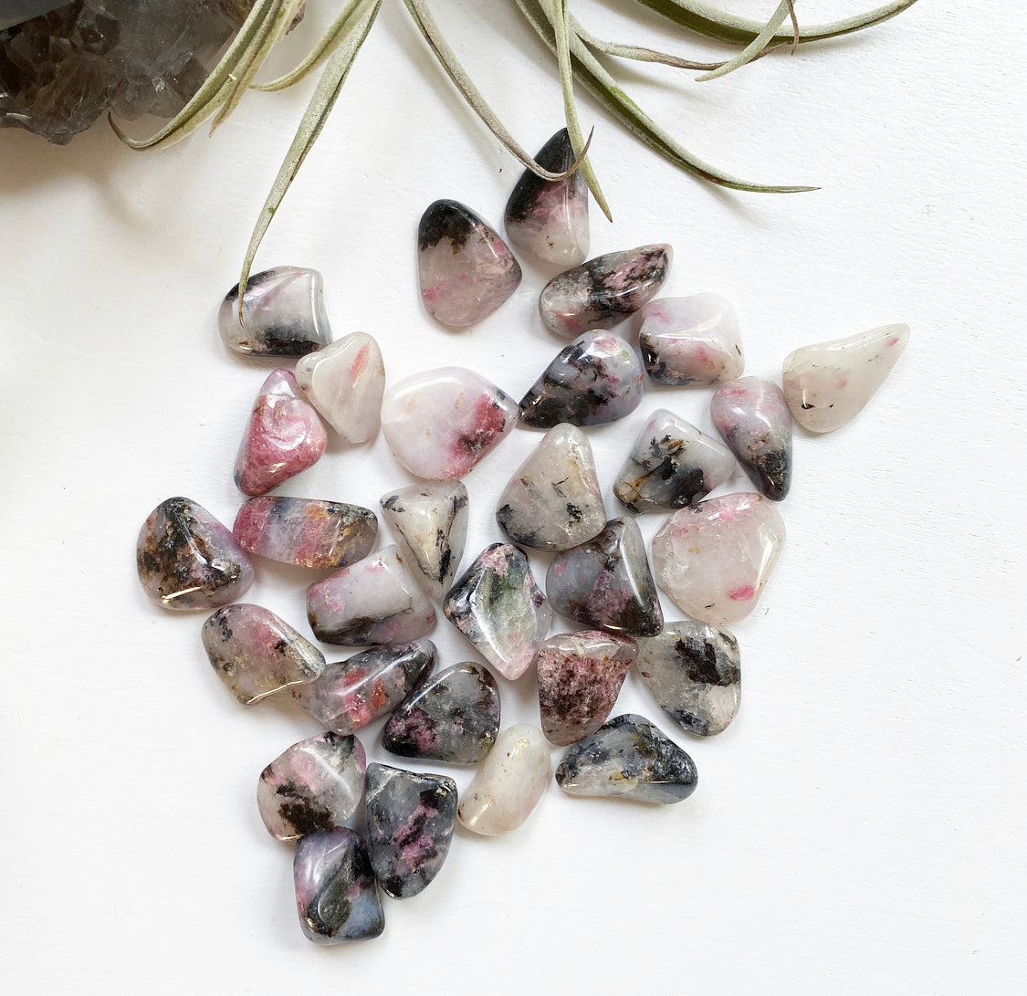 Rhodonite Crystal Properties – MeadowsCrystals