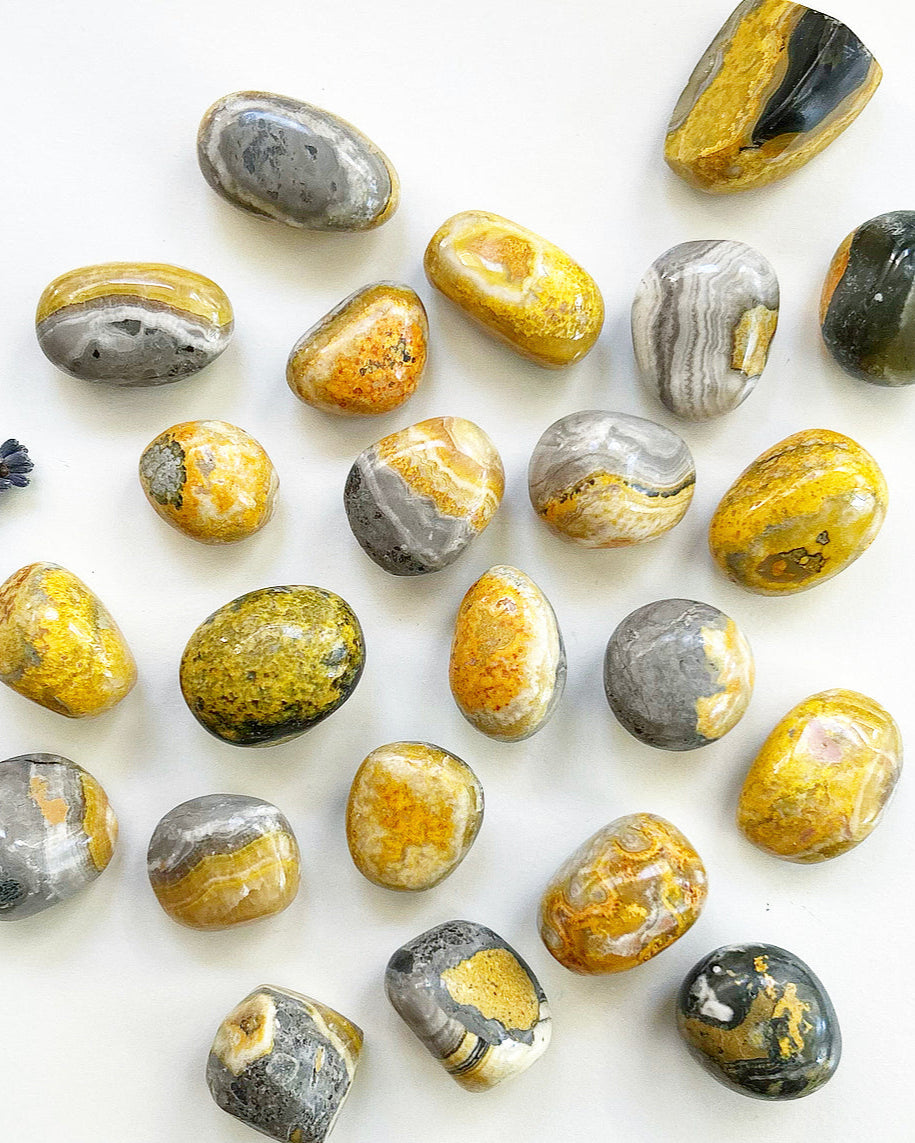 Tumbled Bumblebee Jasper | Ethically Sourced – MeadowsCrystals